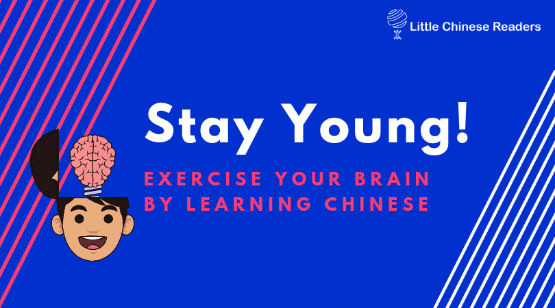 Learning Chinese Slows Down Brain Aging – Little Chinese Readers